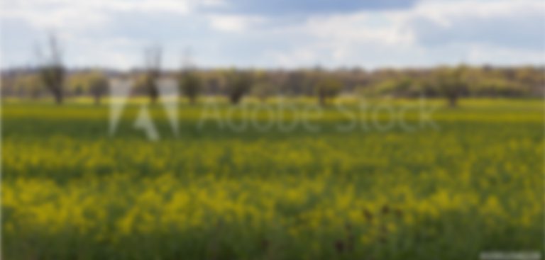 local-area-bg - Homestead Lake Park