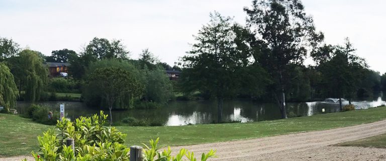 LatestNews_header(2) - Homestead Lake Park